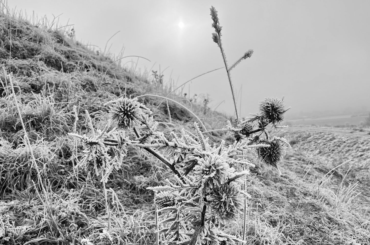 Disease, war, famine … and hope – Global Relay Intelligence & Practice