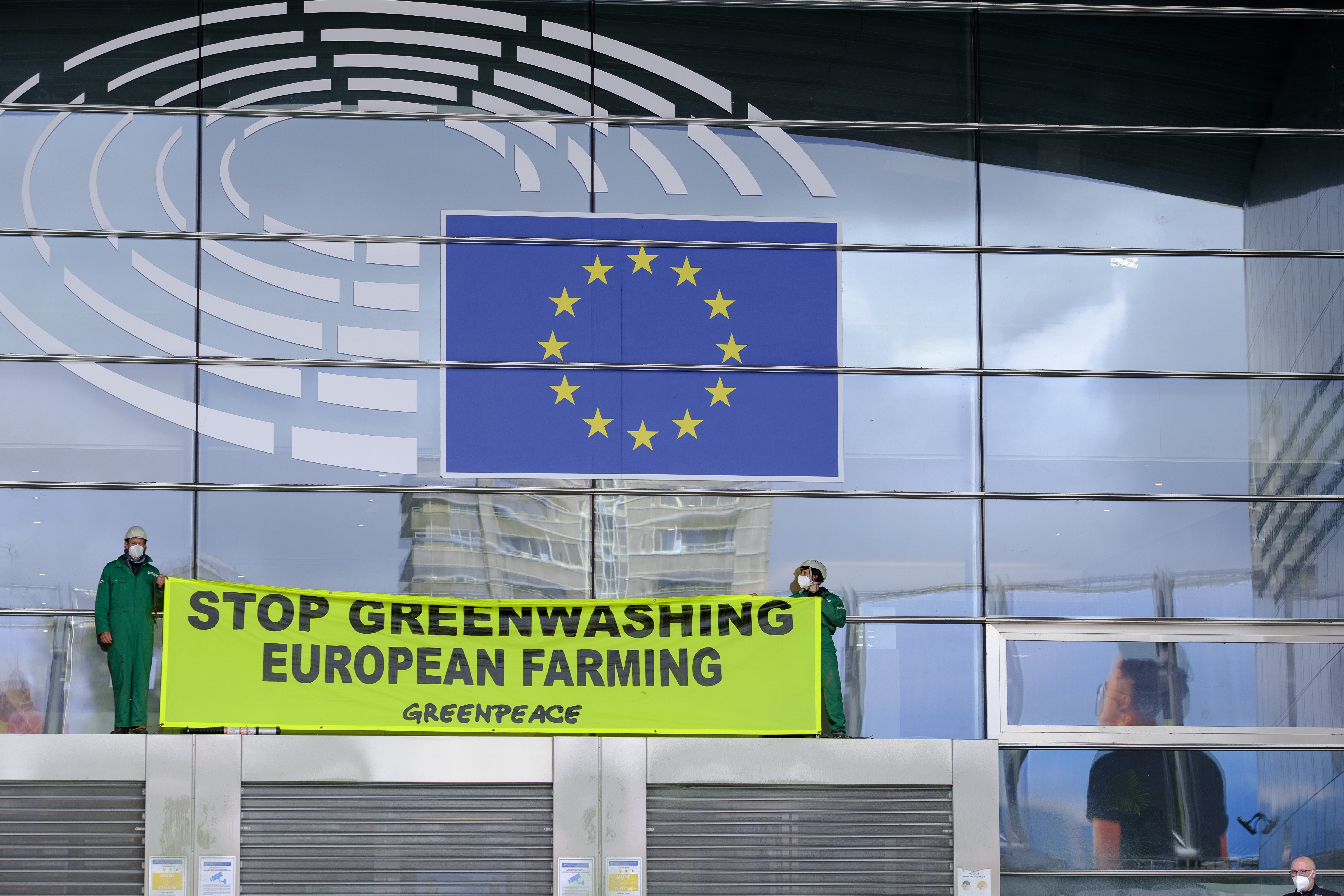 Think tank calls for creation of regulator to stop greenwashing ...