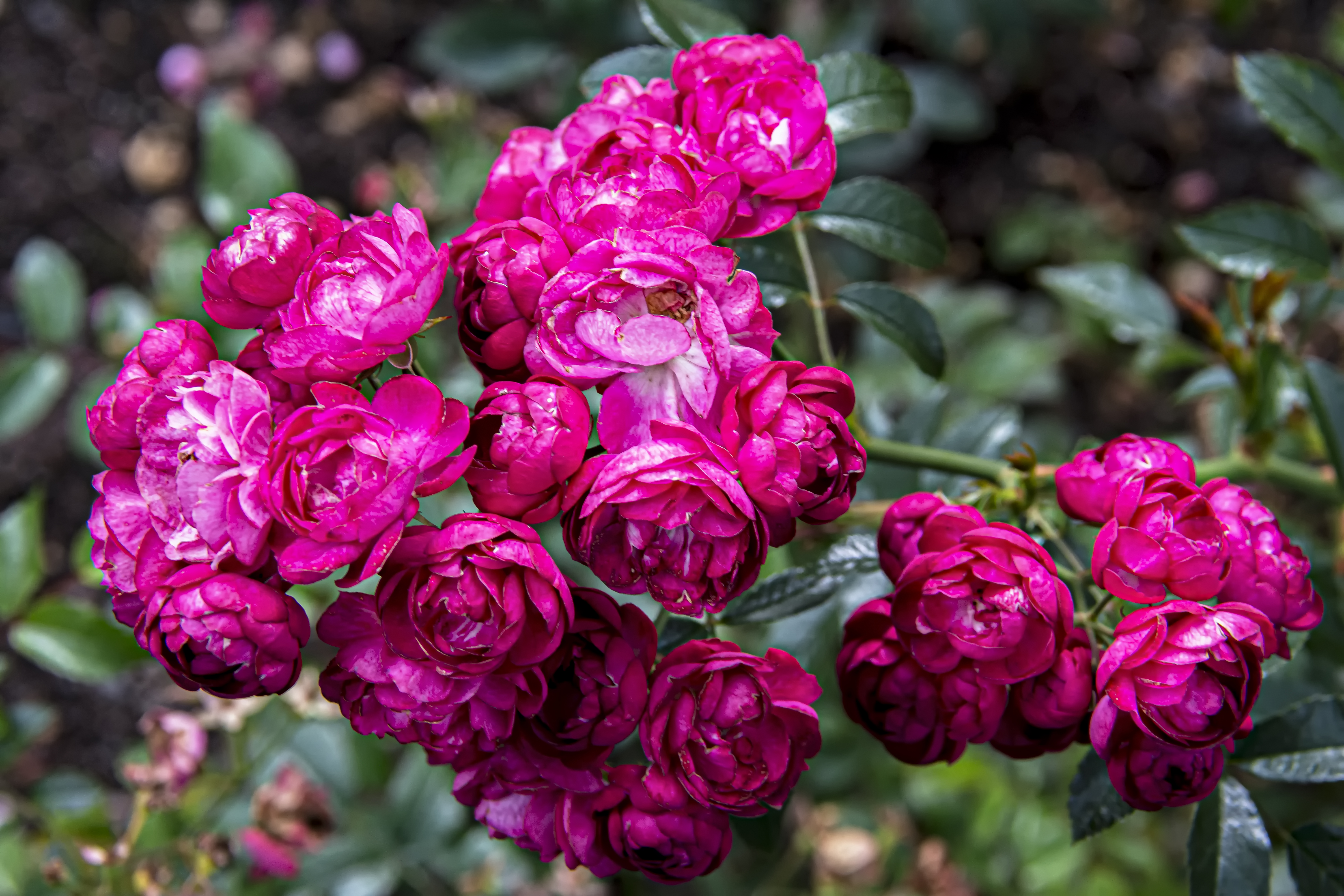 FCA consultation on SDR and portfolio management as approach blooms ...