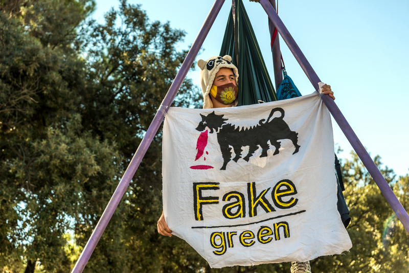 What litigation risks for firms does the FCA’s anti-greenwashing rule ...