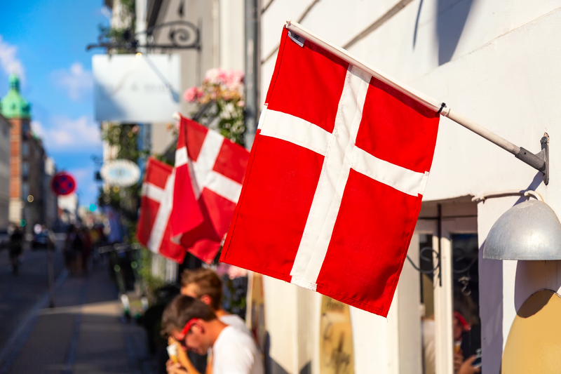 Danish municipalities need to do more for processing security, report ...
